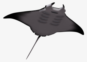 Manta Ray, Underwater Life, Minecraft, Animals - Manta Ray No ...