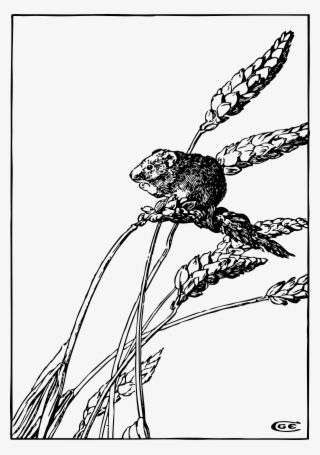 Vector Graphics, - Harvest Mouse Cartoon PNG Image | Transparent PNG ...