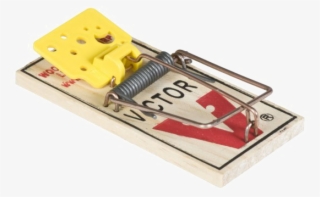 Mouse Trap Free Png Image - Victor Mouse Trap Set Up PNG Image ...