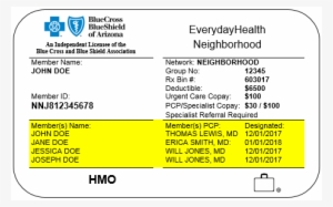 Download Image Of Blue Cross Blue Shield Id Card - Components Of The ...