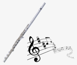 Viola Patrs - Parts Of Violin Png PNG Image | Transparent PNG Free ...