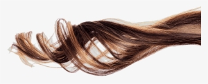 Hair Strand Png - Png Transparent Hair Png PNG Image | Transparent PNG ...