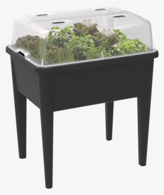 Home > Collection > Green Basics Grow Table Xxl - Elho Green Basic Seed ...