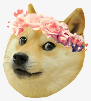 Doge Face Png - Dog Face Transparent Background PNG Image | Transparent ...