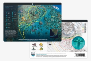 Over 70 Dive Sites In The Florida Keys And New Sites - 3d Map ...