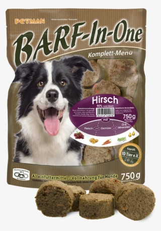 Barf - Lincoln Loud Running PNG Image | Transparent PNG Free Download ...