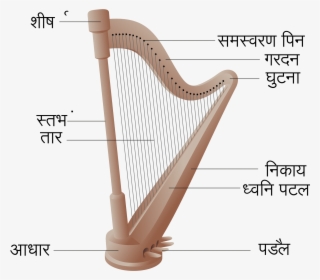 Diagram Of The Harp PNG Image | Transparent PNG Free Download on SeekPNG