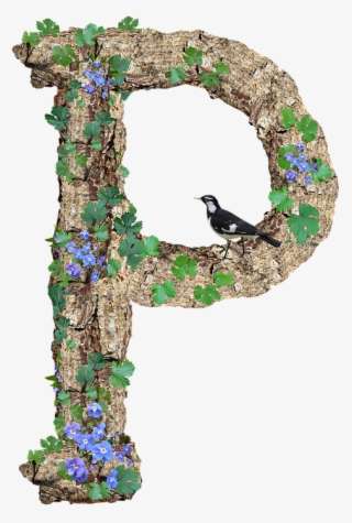 Alphabet, Letter, P, Rustic, Timber, Bark - P In Stylish Letter PNG ...