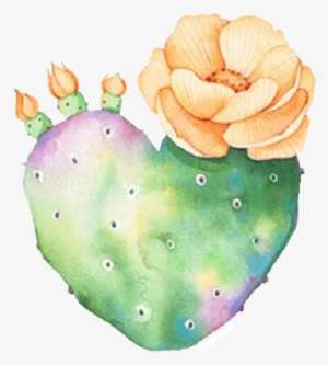 Cute Transparent Tumblr Cactus Pictures To Pin On Pinterest - Succulent ...