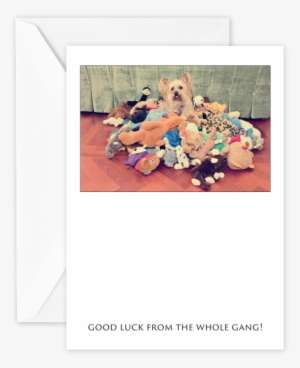 Good Luck From The Whole Gang - Craft PNG Image | Transparent PNG Free ...