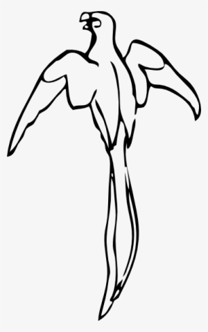 How To Set Use Flying Parrot Svg Vector PNG Image | Transparent PNG ...