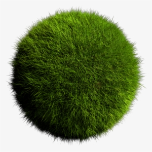 Grass Ball Mentalray - Grass Ball 3d Png PNG Image | Transparent PNG ...
