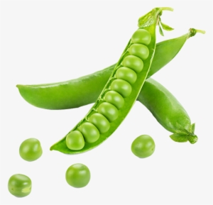 Image - Peas Vegetables Png PNG Image | Transparent PNG Free Download ...