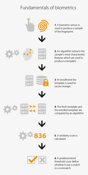 Read White Paper - Fingerprint Recognition Algorithm PNG Image ...