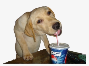 Dank Sticker - Dank Weird PNG Image | Transparent PNG Free Download on ...