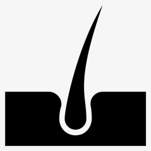 Skin Icon - Hair Follicle Vector Png PNG Image | Transparent PNG Free ...