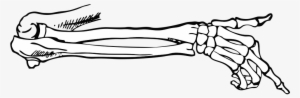 Drawn Bones Transparent Background - Skeleton Hand Pointing Png PNG ...