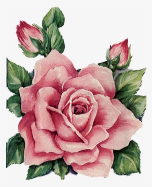 Hi Ya'll, Here's An Explosion Of Graphics For You, - Rose Tea Rose ...