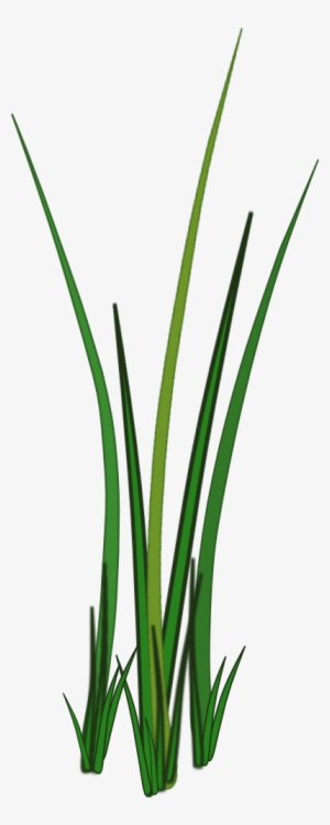 Drawn Grass Transparent - Grass Texture Png PNG Image | Transparent PNG ...