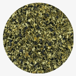 Kelp PNG Image | Transparent PNG Free Download on SeekPNG
