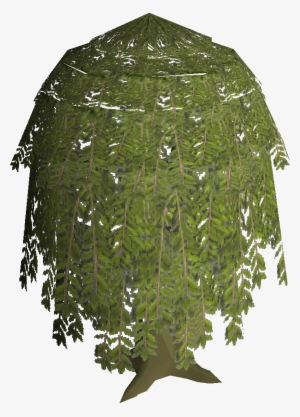 Willow Tree Built - Umbrella PNG Image | Transparent PNG Free Download ...