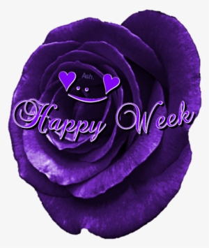 Happy Week * - Garden Roses PNG Image | Transparent PNG Free Download ...