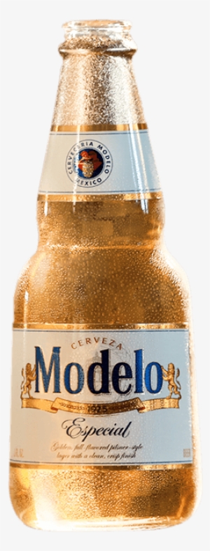 Pilsner-style Lager - Modelo Cerveza Png PNG Image | Transparent PNG ...