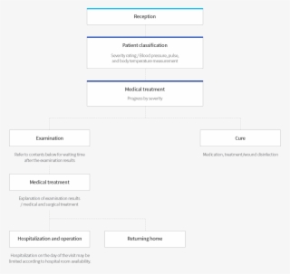 Medical Treatment Procedure PNG Image | Transparent PNG Free Download ...