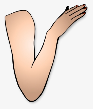 Arm Clipart - Arm PNG Image | Transparent PNG Free Download on SeekPNG