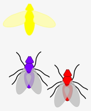 Firefly Cut Out - Firefly Cliparts Png PNG Image | Transparent PNG Free ...