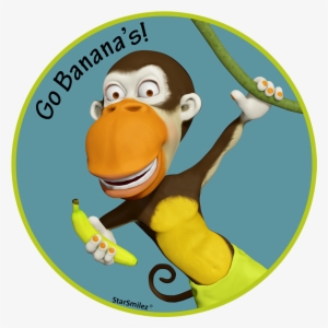 October 9, - Monkey PNG Image | Transparent PNG Free Download on SeekPNG