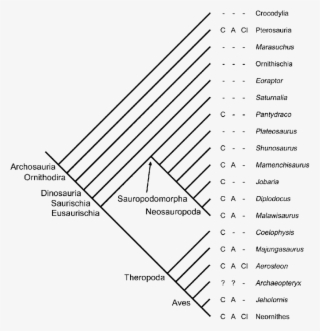 Evidence For Air Sacs In Fossil Archosaurs PNG Image | Transparent PNG ...