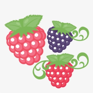 Raspberries Clipart Raspberry Fruit - Cute Raspberry PNG Image | Transparent PNG Free Download ...