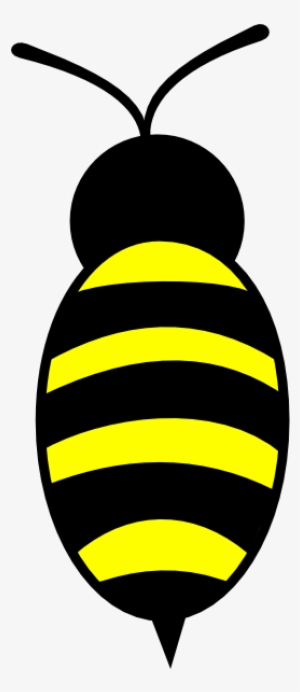 Bee Stock Photography Cute - Honey Bee Cartoon Png PNG Image ...