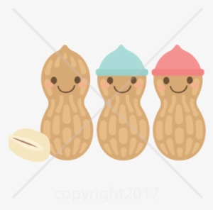 Baby Peanut Clipart