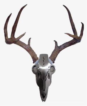 Ibam2 The Iron Buck Antler Mount - Stainless Steel Deer Antler Mount ...