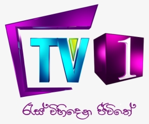 2016 - Tv 1 Logo Png PNG Image | Transparent PNG Free Download on SeekPNG