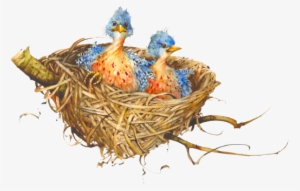 Nest Clipart - Cartoon Nest Png PNG Image | Transparent PNG Free ...