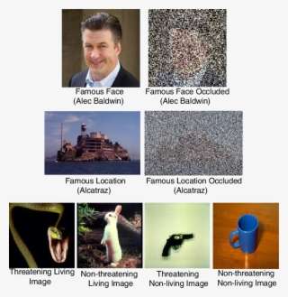 Example Face Stimulus From Experiment 1 Before And PNG Image ...