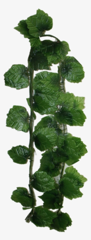 Artificial Green Hanging Vine Leaves - Hanging Leaves Transparent PNG ...