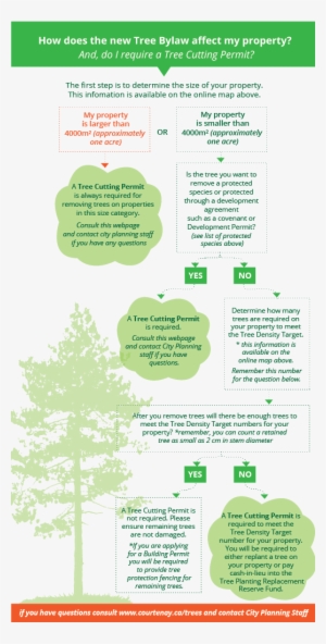 Questions - - Tree PNG Image | Transparent PNG Free Download on SeekPNG