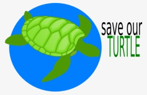 Save Our Turtle Clip Art - Save Turtles Clipart PNG Image | Transparent ...