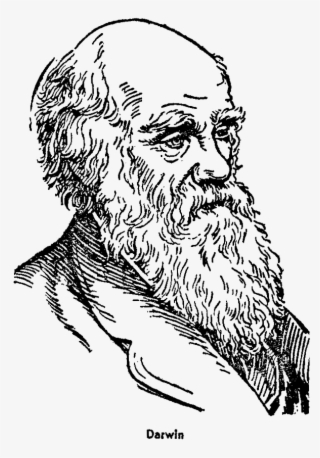 Charles Lyell And Charles Darwin Macroevolutionnet PNG Image ...