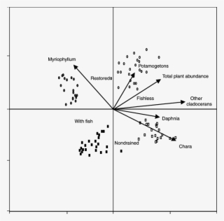 Correlation Biplot Produced By Standardized Partial PNG Image ...