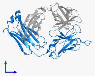pdb Entry 3c5s Contains 1 PNG Image | Transparent PNG Free Download on ...