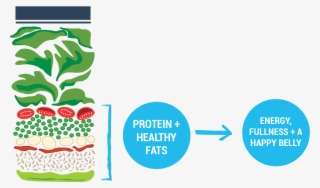 The Digestion Of Fat And Protein Elicits A Slower Digestion PNG Image ...