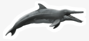 Dinosaur Dolphin PNG Image | Transparent PNG Free Download on SeekPNG