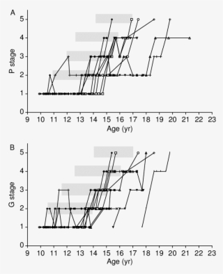 Download This Picture Depicts The Stages Of Pubic Hair, Genital ...