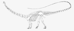 Goliath - Sauropod Dinosaur Skeleton Png PNG Image | Transparent PNG ...