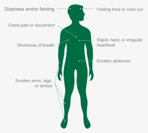 Top Pah Symptoms Image - Pulmonary Hypertension PNG Image | Transparent ...
